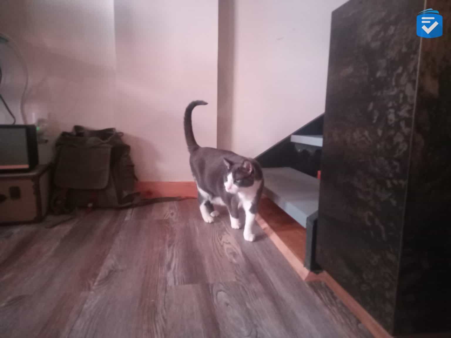 RAZ SmartVision 3 Review, Our Hands-On Test