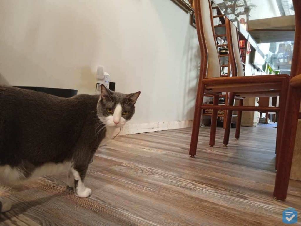 Jitterbug Smart4 Review │The Senior List