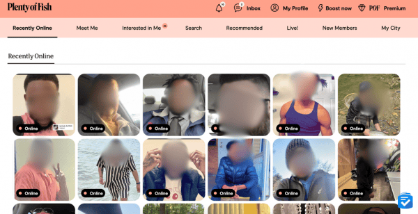 Plenty of Fish for Seniors Review, Our Hands-On Test